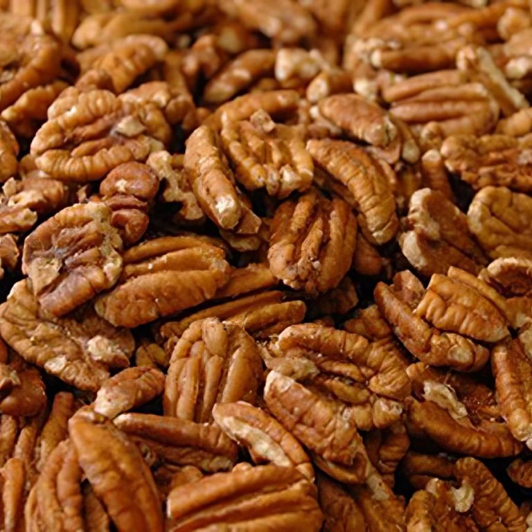 Raw Shelled Junior Mamoth Pecan Halves - Somis Nut House
